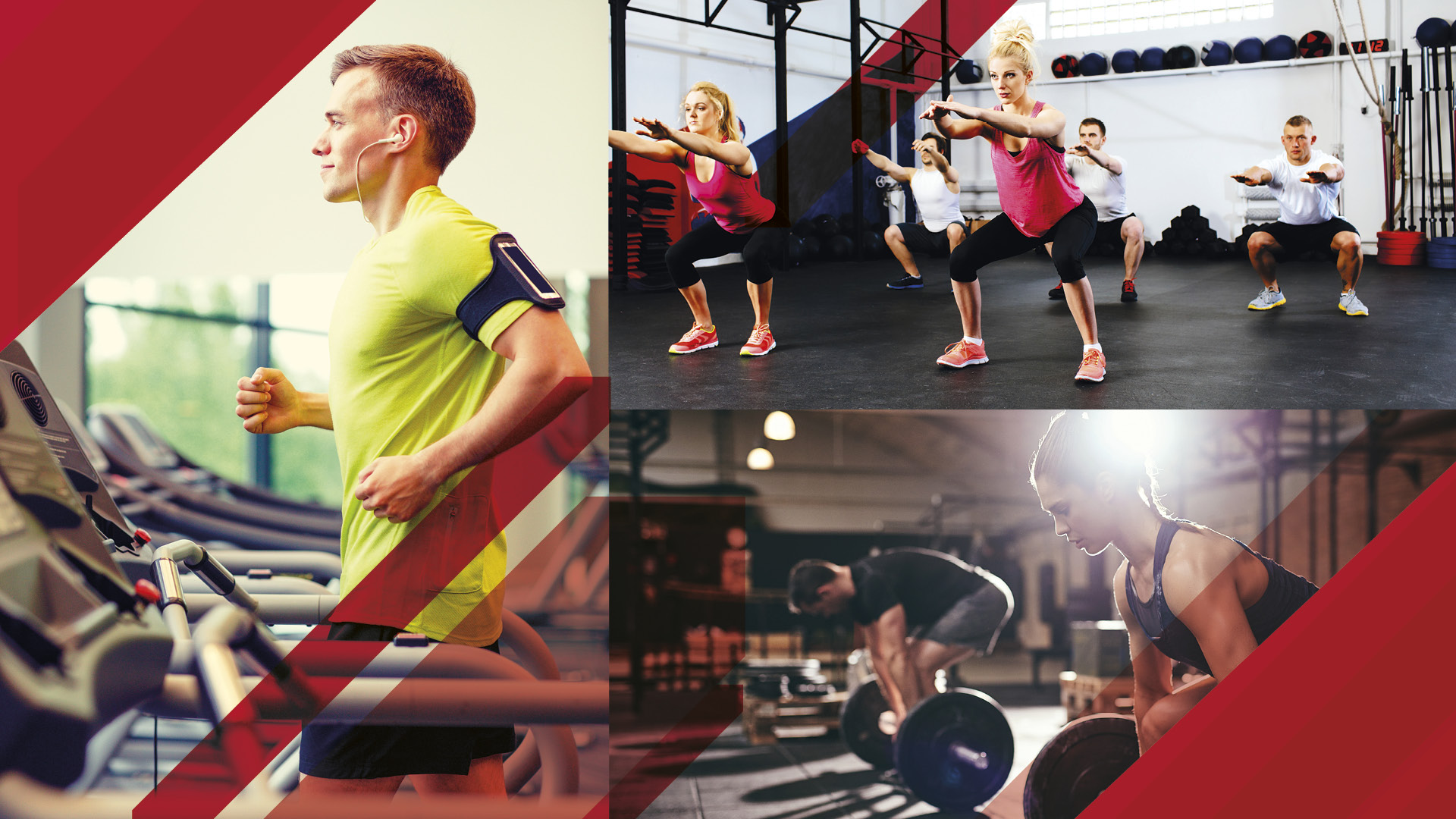 Teignbridge Leisure - Home